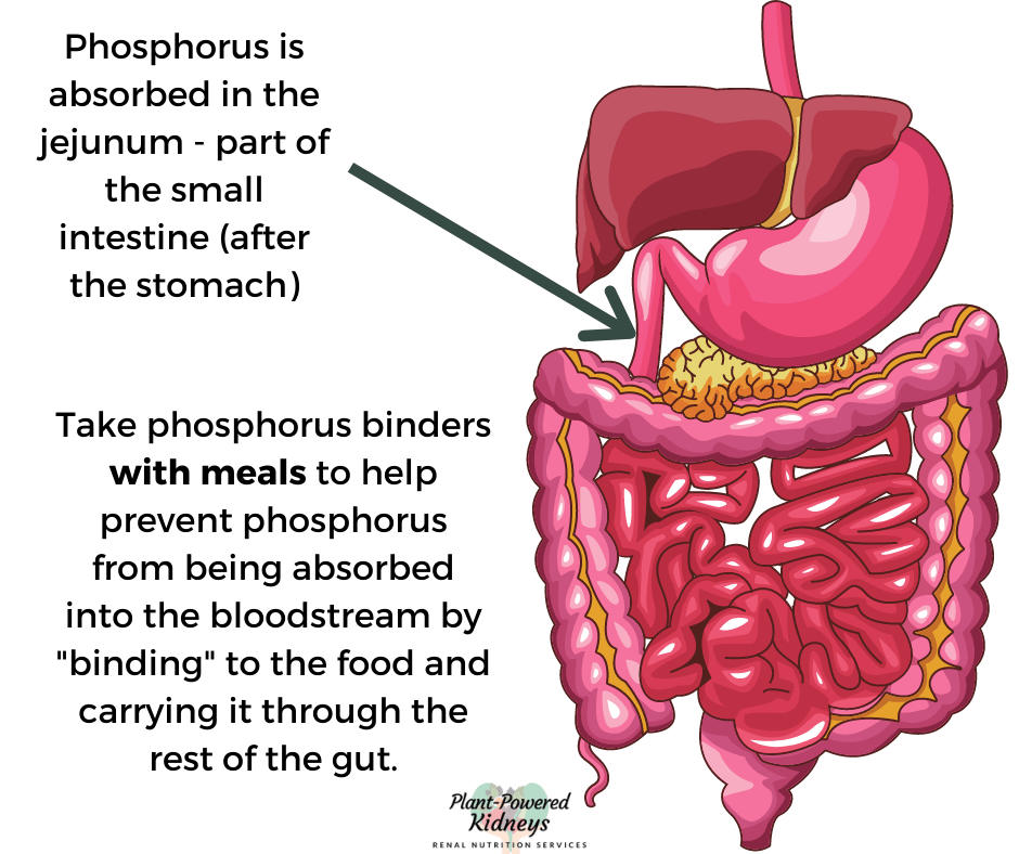 Phosphorus Binders In The Low Phosphorus Diet Plant Powered Kidneys Phosphorus Binders In The Low Phosphorus Diet Plant Powered Kidneys