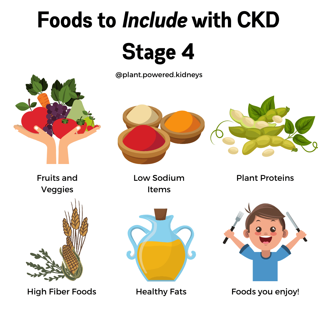 Stage 4 Kidney Disease: The Ultimate Guide - Plant-Powered Kidneys ...