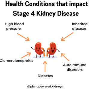 Stage 4 Kidney Disease: The Ultimate Guide - Plant-Powered Kidneys ...