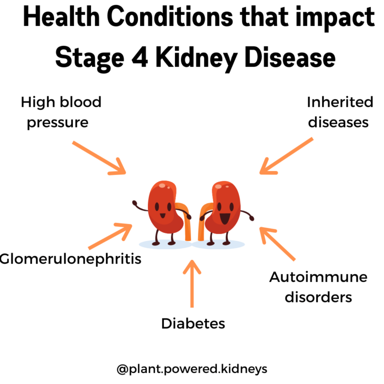 Stage 4 Kidney Disease: The Ultimate Guide - Plant-Powered Kidneys ...