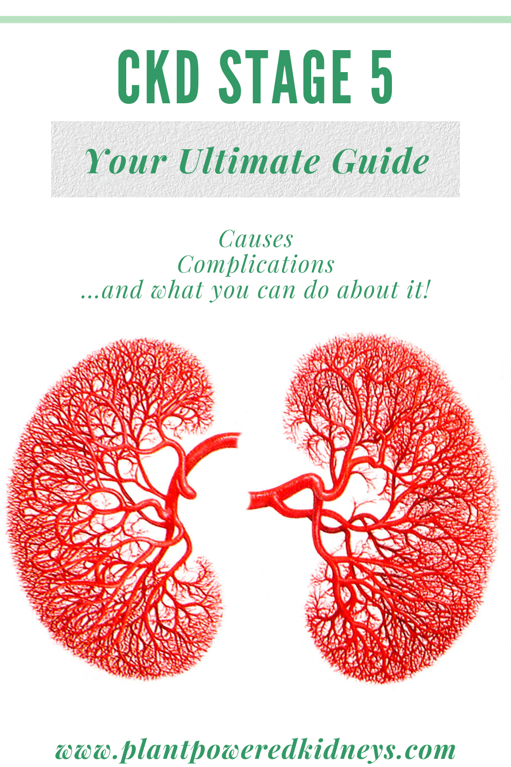 Stage 5 Kidney Disease: The Ultimate Guide