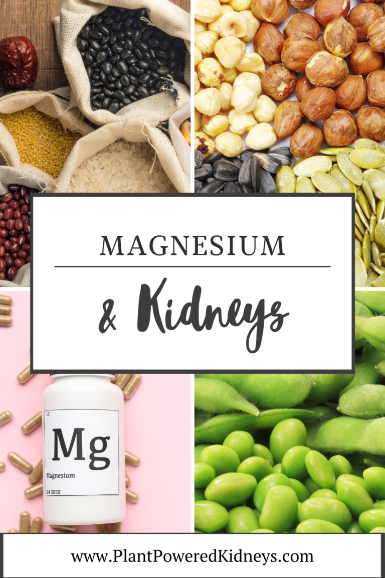 Magnesium and The Kidneys: Adding it in a Renal Diet - Plant-Powered ...