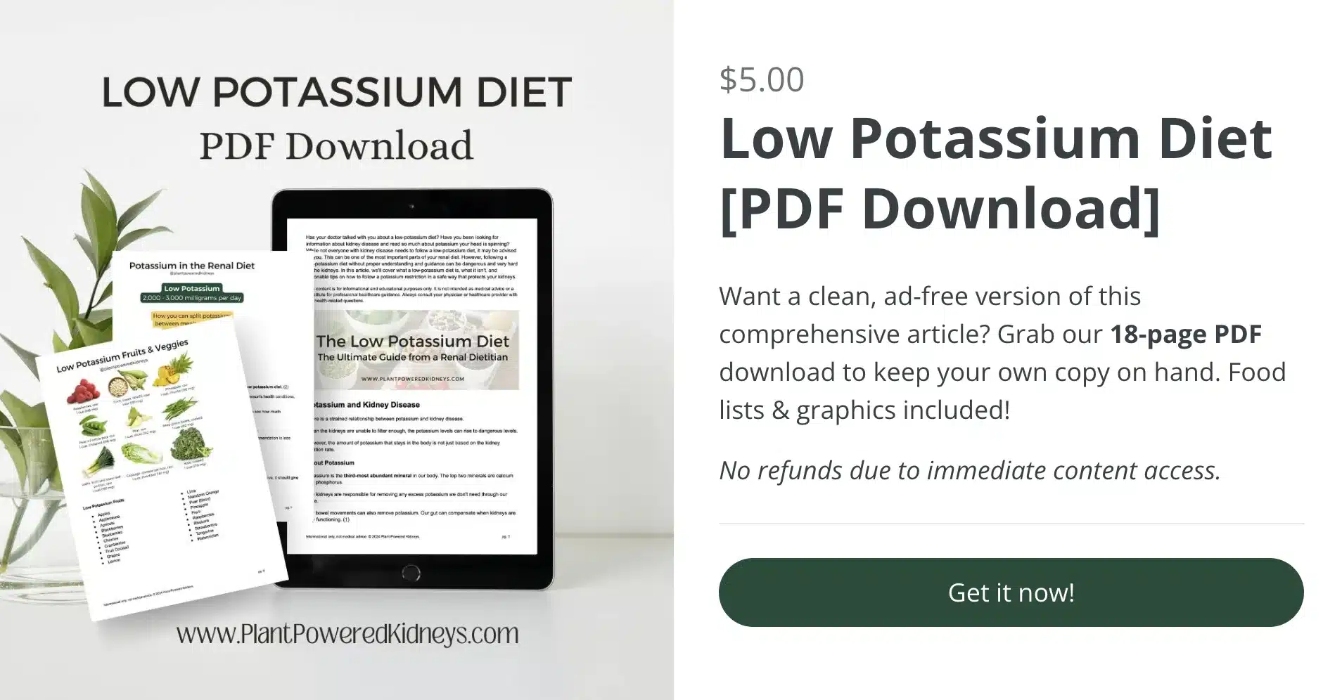 Low Potassium Diet {from a Renal Dietitian}