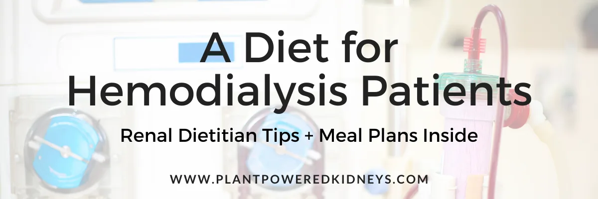A Diet for Hemodialysis Patients: Renal Dietitian Tips + Meal Plans